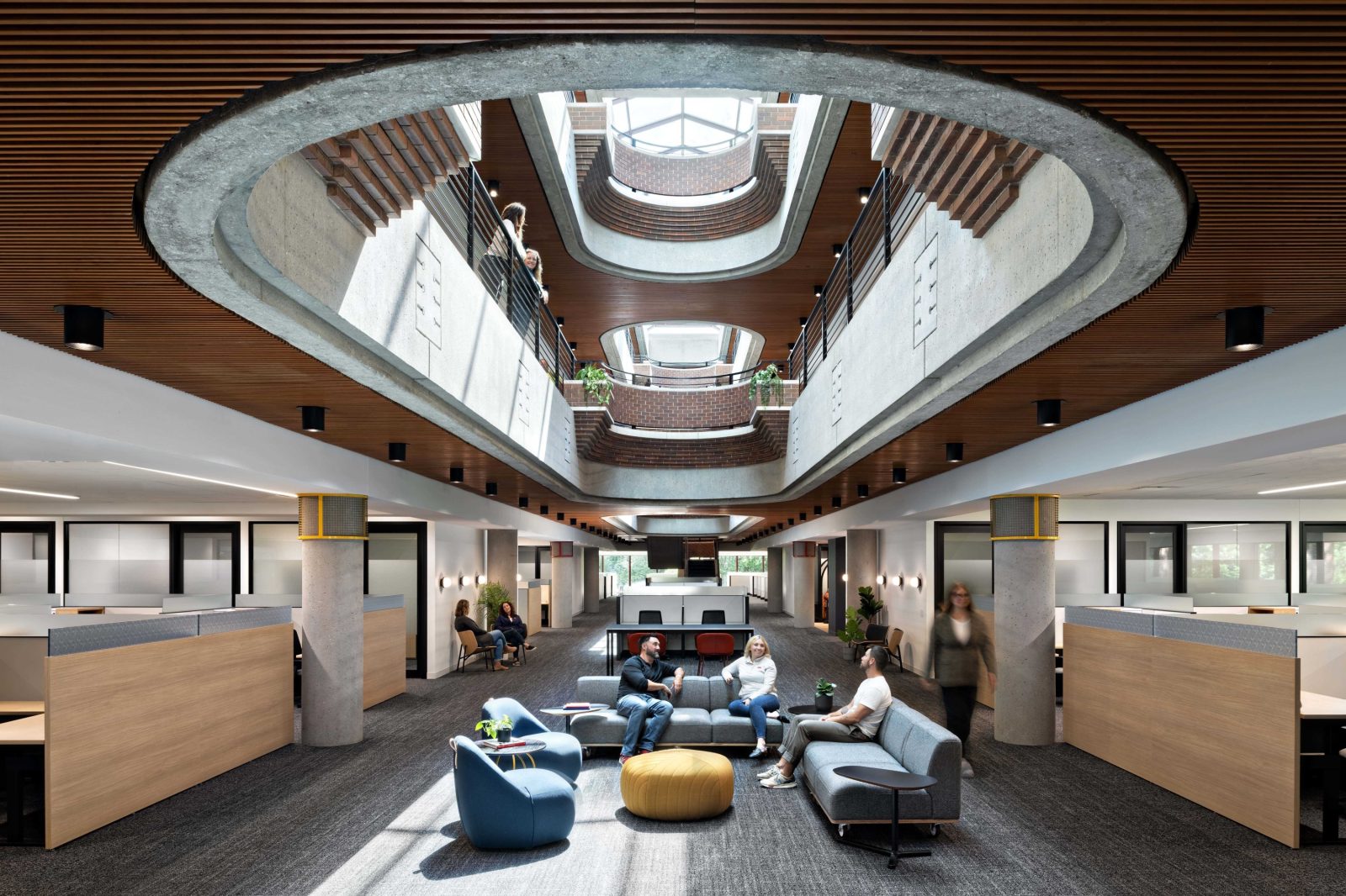 Ace Hardware | Continua Interiors